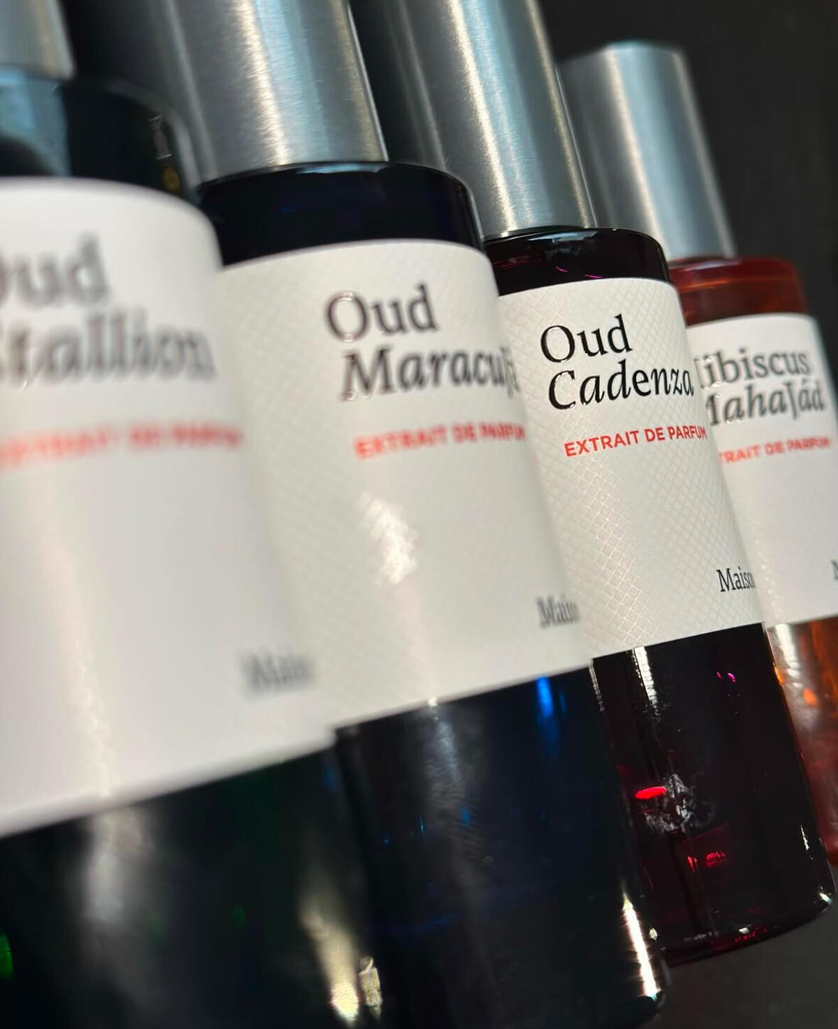 Oud Stallion Maison Crivelli аромат — новый аромат для мужчин и женщин 2023