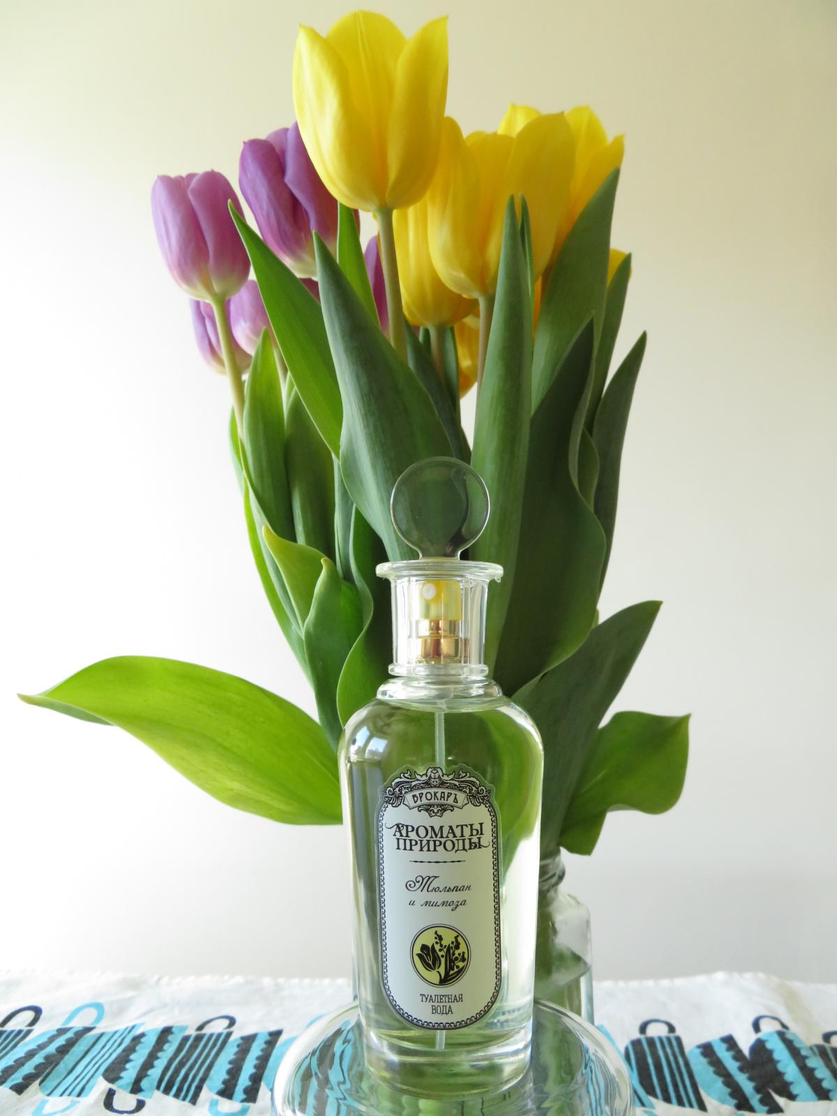 Тюльпан и мимоза - Tulip and Mimosa Brocard аромат — аромат для женщин 2018