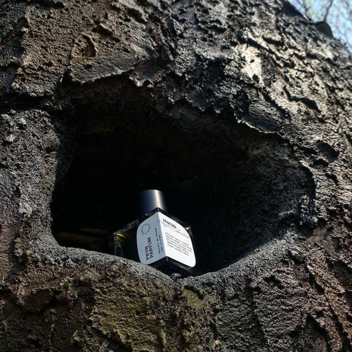 Aranyaka Pryn Parfum perfume - a fragrance for women and men 2018