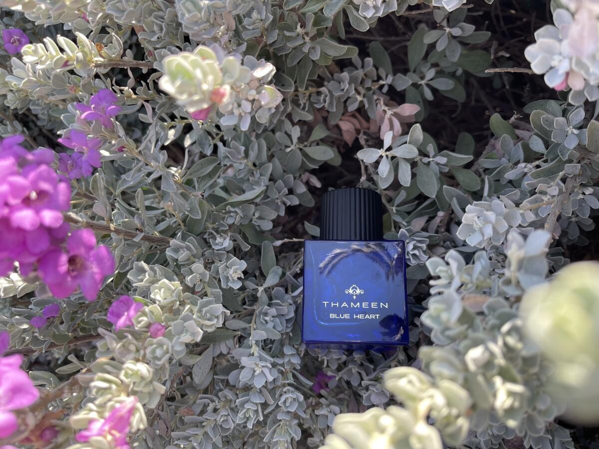 Blue Heart Thameen - una fragranza unisex 2022