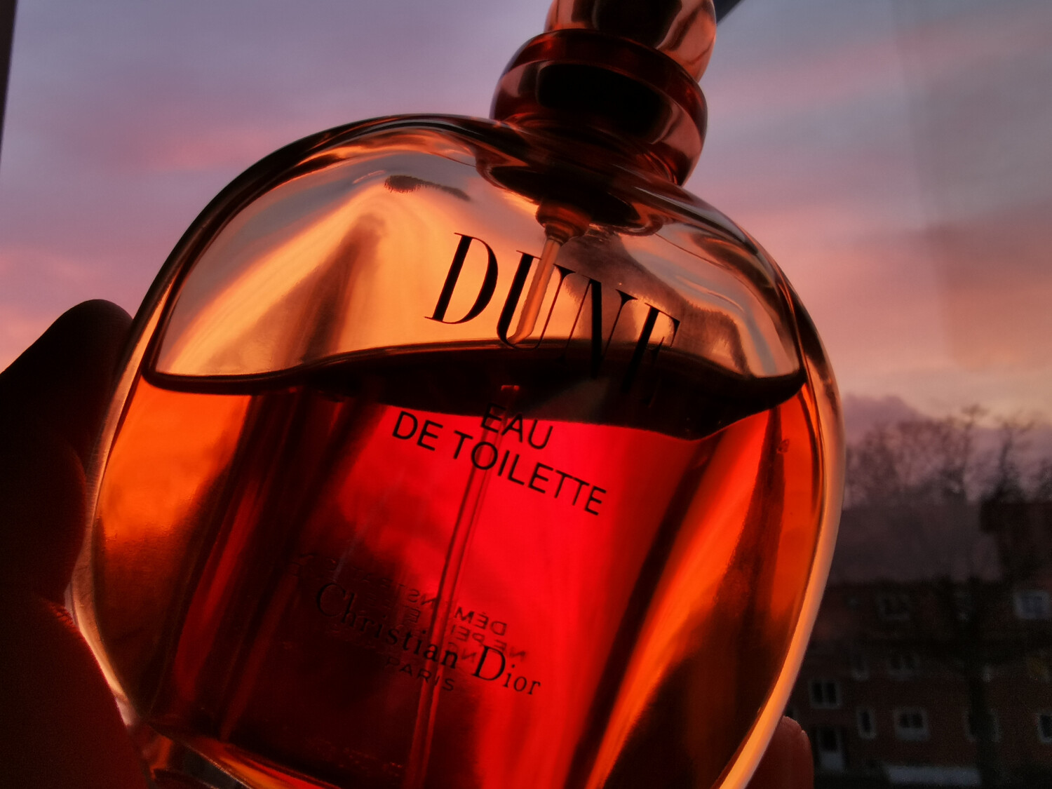 Dune Dior perfume - a fragrance for women 1991