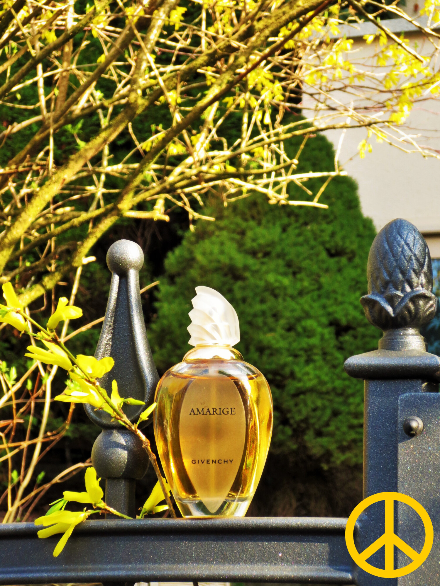 Amarige Givenchy perfume - a fragrance for women 1991