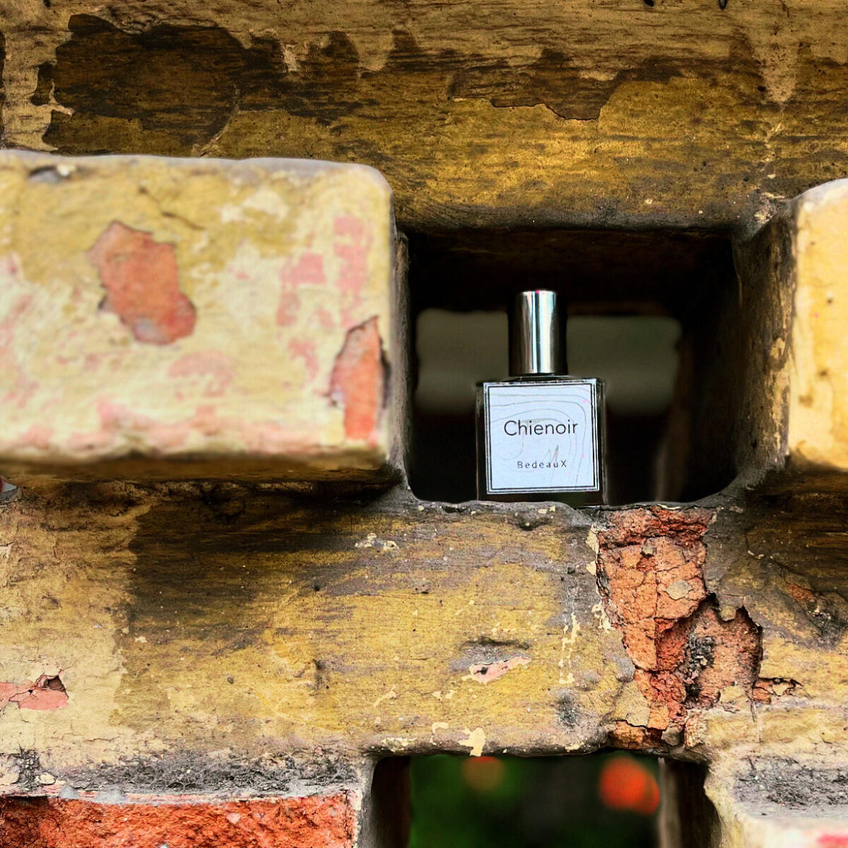 Chienoir BedeauX perfume - a fragrance for women and men 2017