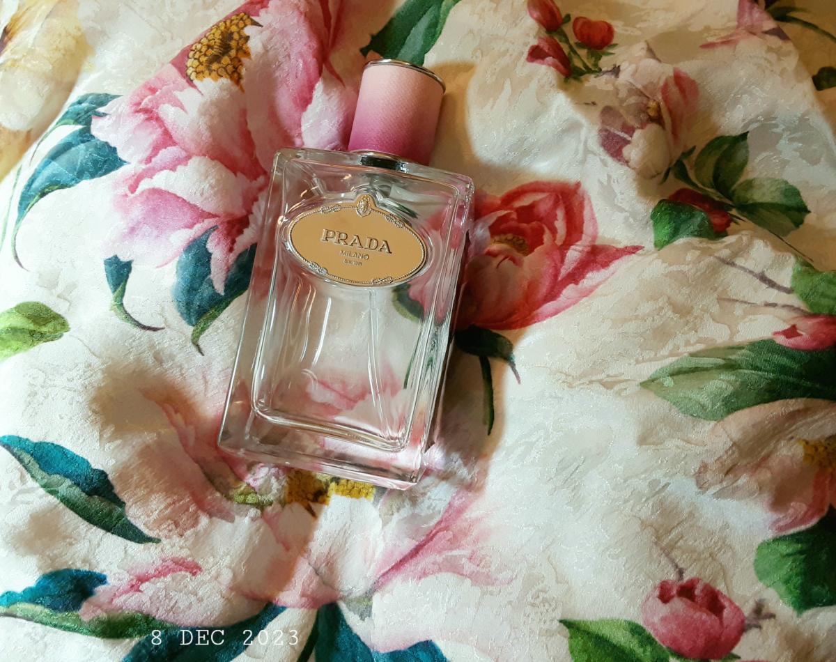 Infusion de Rose Prada perfume - a fragrance for women 2011