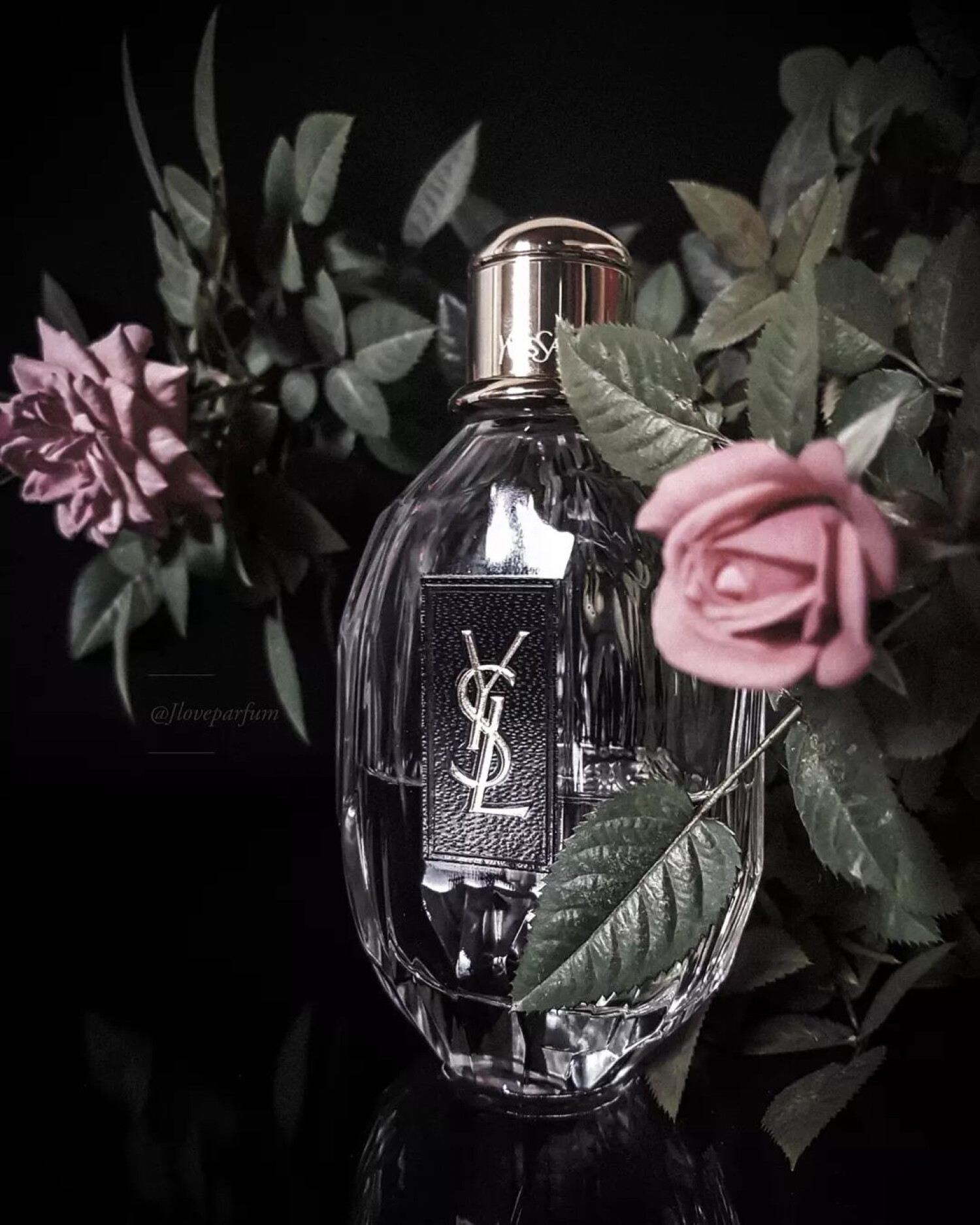 Parisienne Yves Saint Laurent perfume - a fragrance for women 2009