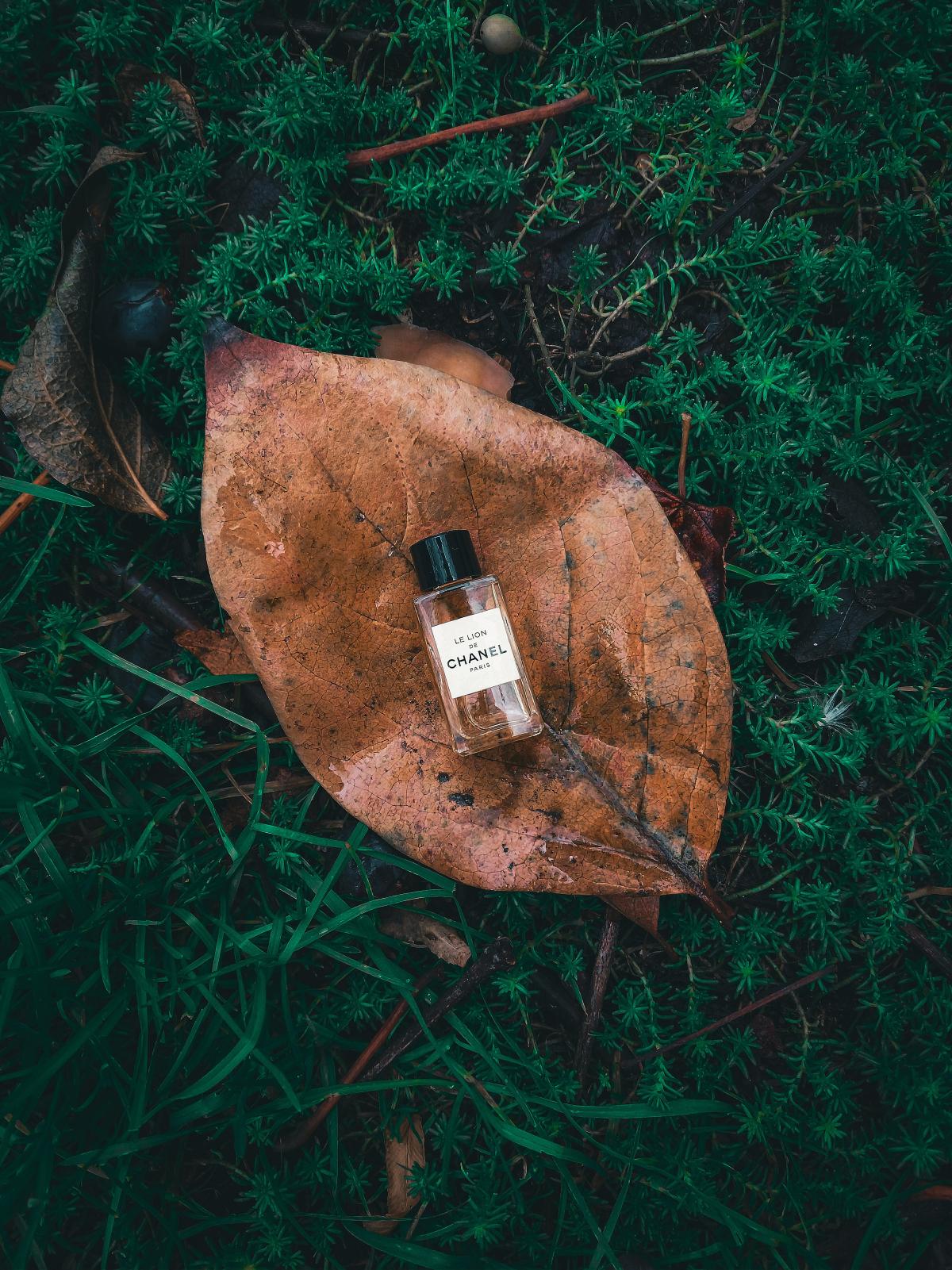 Le Lion Eau de Parfum Chanel perfume - a fragrance for women and men 2020