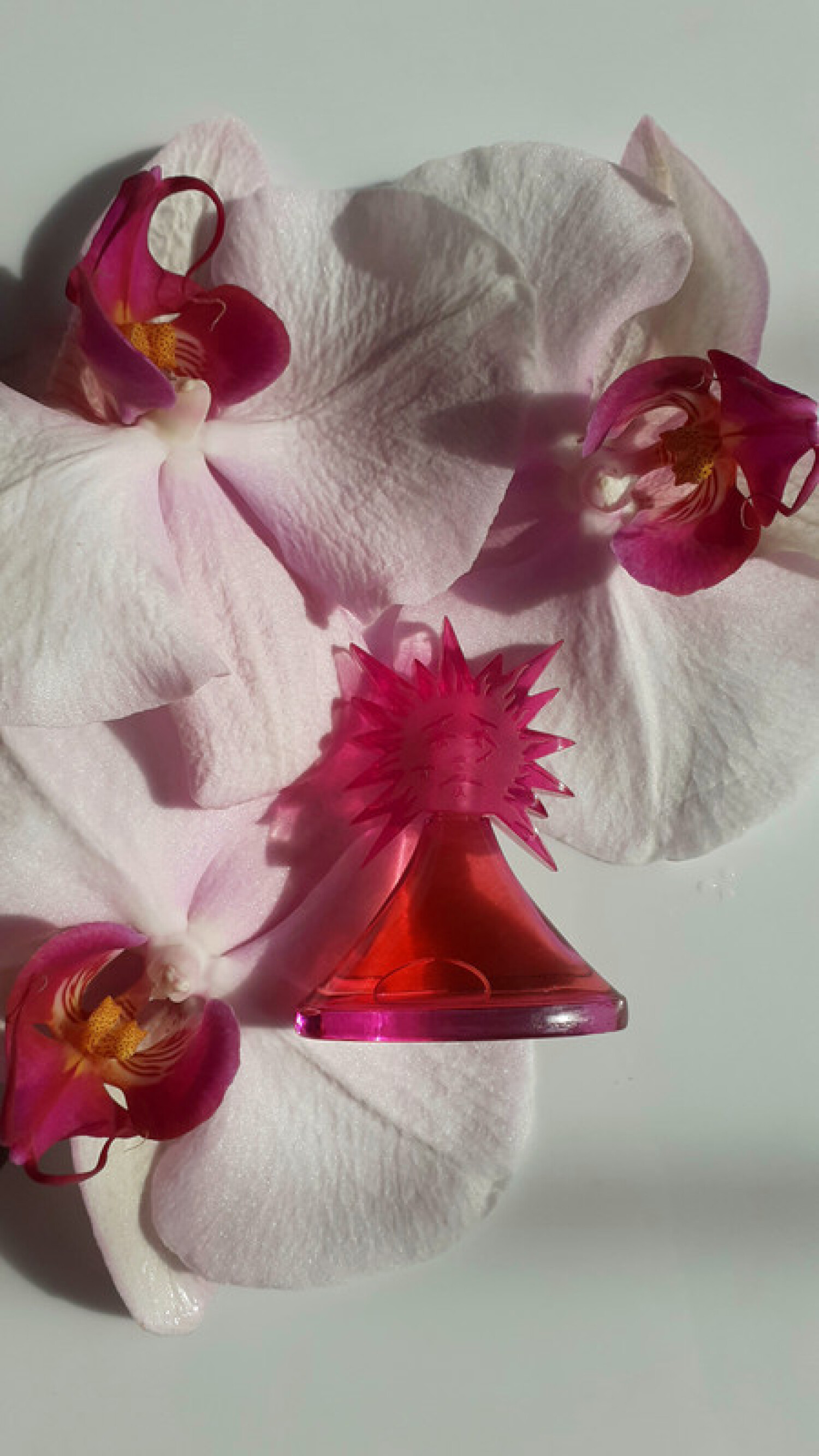 Le Roy Soleil Salvador Dali perfume - a fragrance for women 1997
