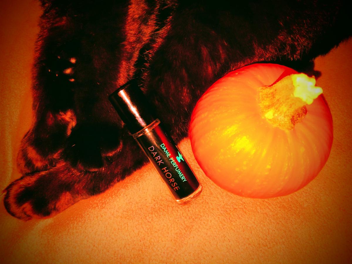 Dark Horse Dame Perfumery perfume - a fragrance for women and men 2015