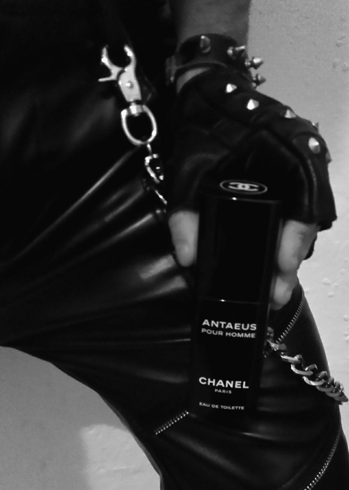 Antaeus Chanel cologne - a fragrance for men 1981