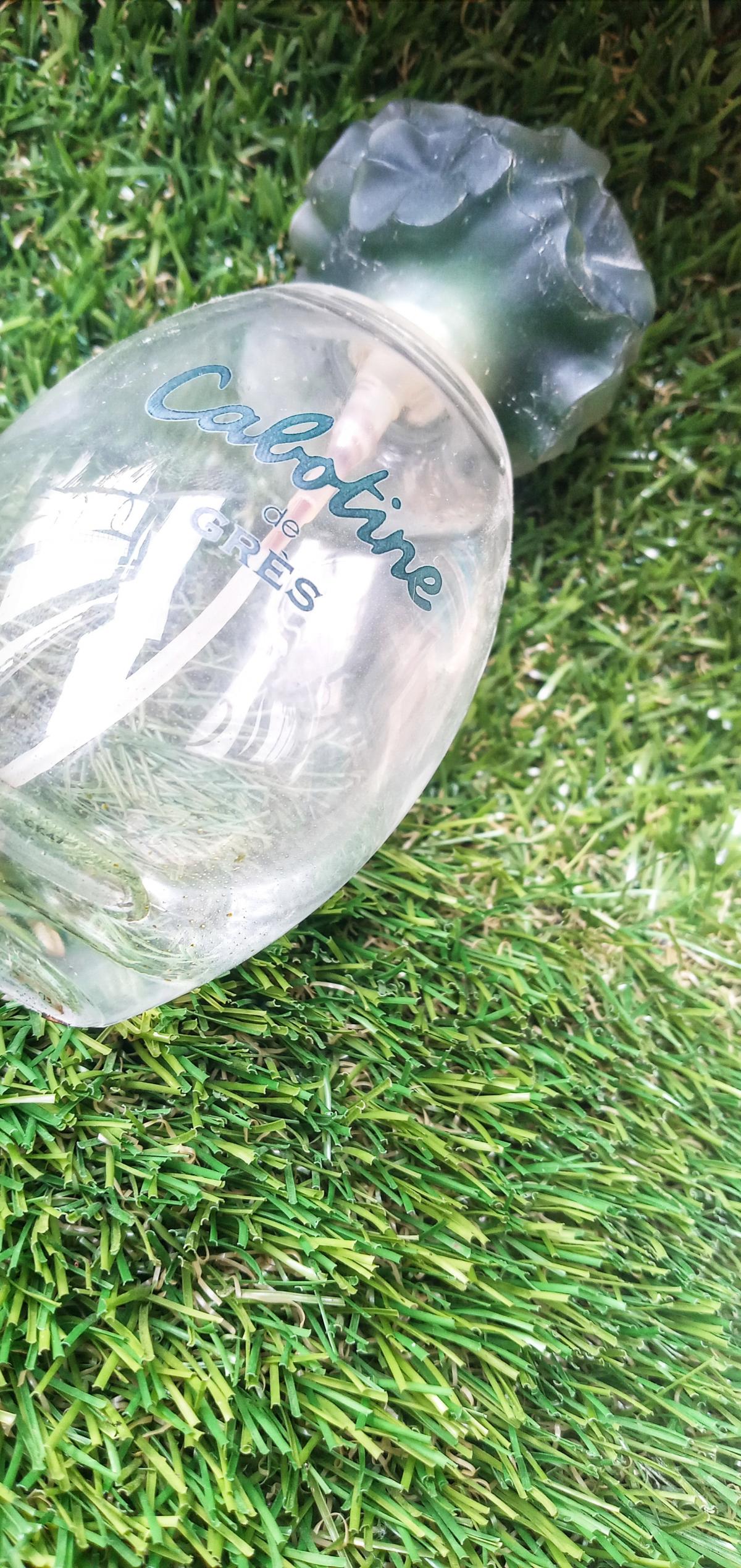 Cabotine Gres perfume - a fragrance for women 1990