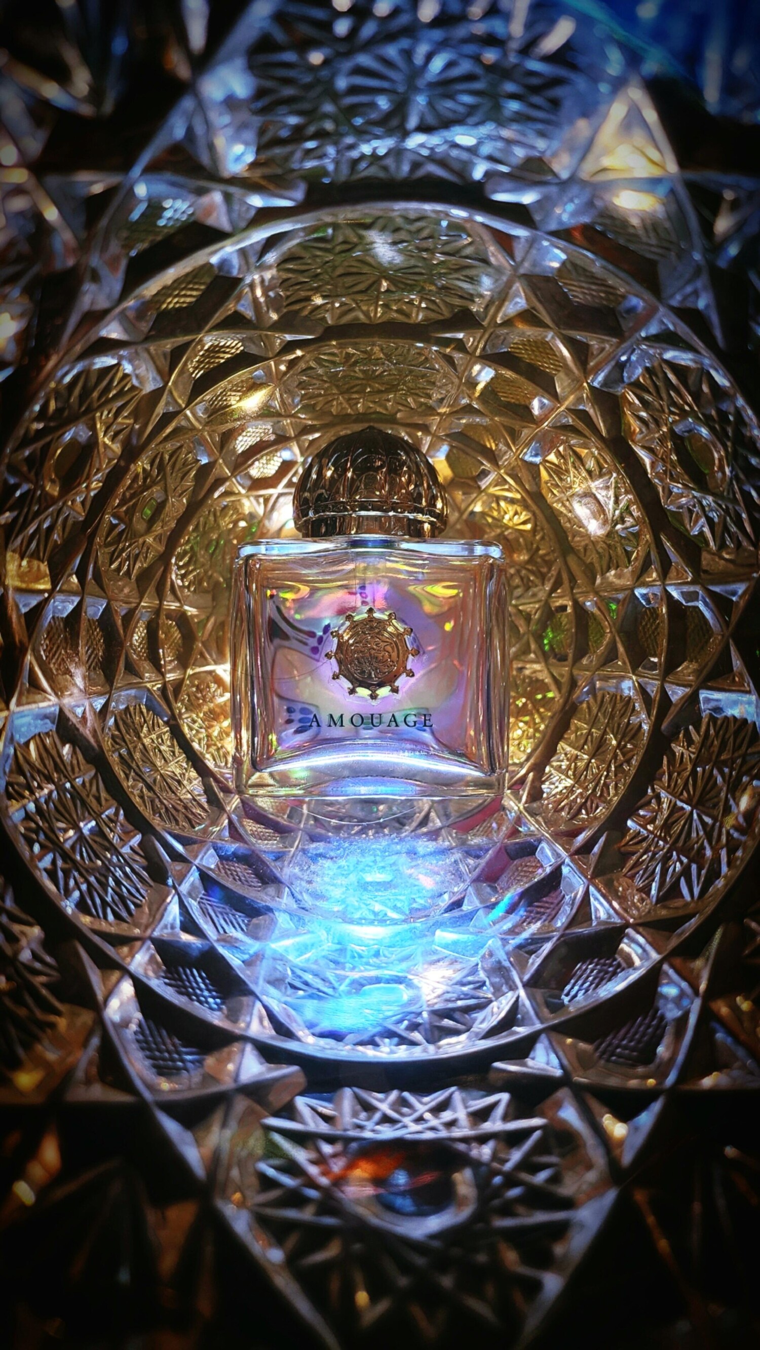 Fate Woman Amouage fragancia - una fragancia para Mujeres 2013