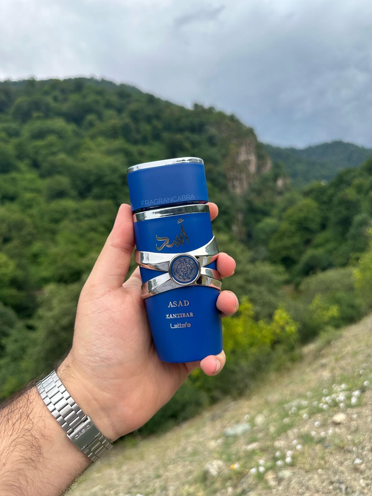 Asad Zanzibar Lattafa Perfumes cologne - a new fragrance for men 2024