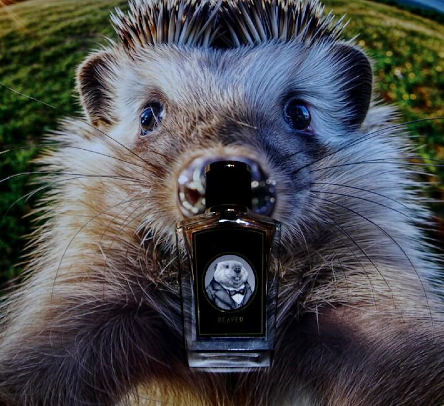 Beaver Zoologist Perfumes perfume - a fragrance for women and men 2014