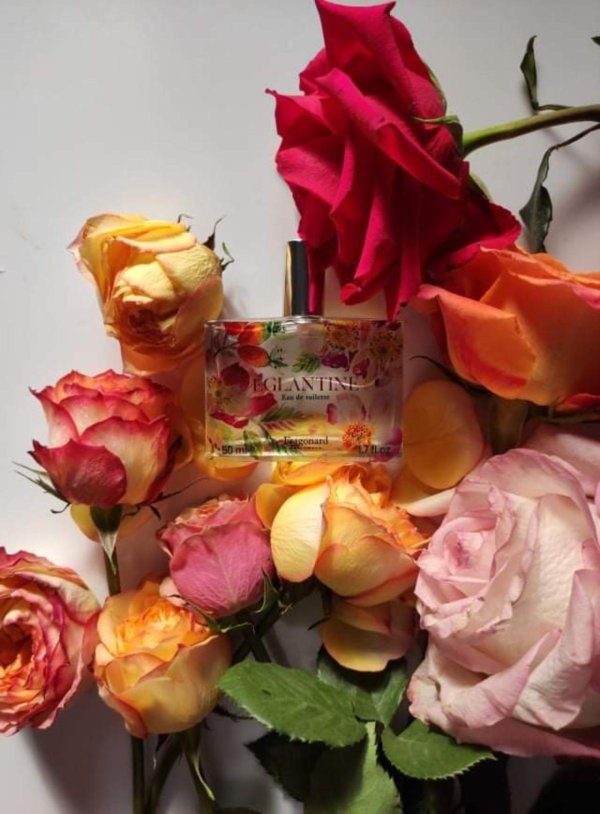 Eglantine Fragonard perfume - a fragrance for women 2022