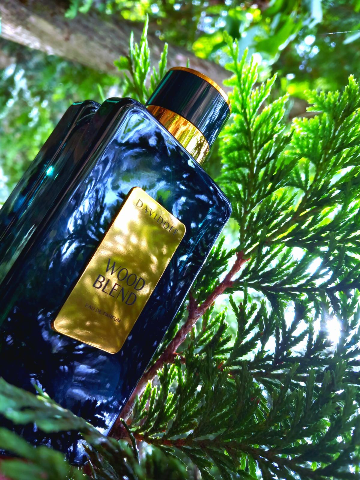 Wood Blend Davidoff perfume - a fragrance for women and men 2017