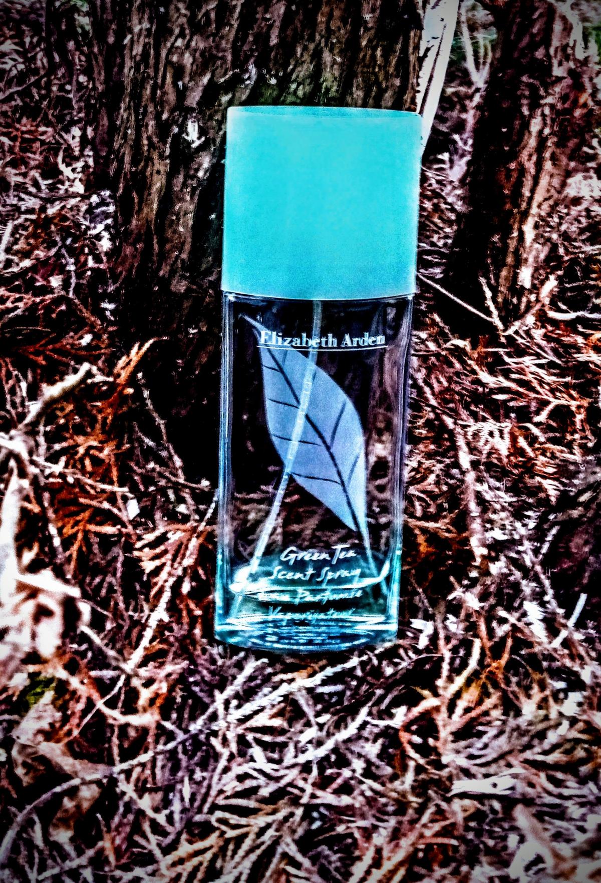 Green Tea Elizabeth Arden perfume - a fragrance for women 1999