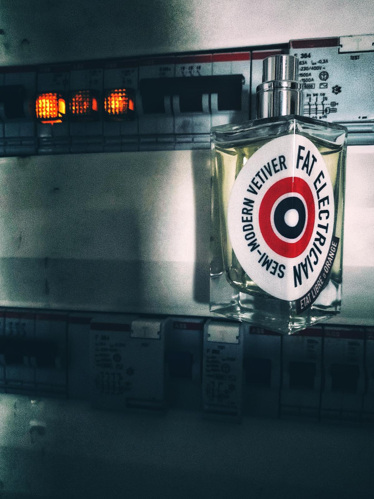 Fat Electrician Semi-Modern Vetiver Etat Libre d'Orange cologne - a ...