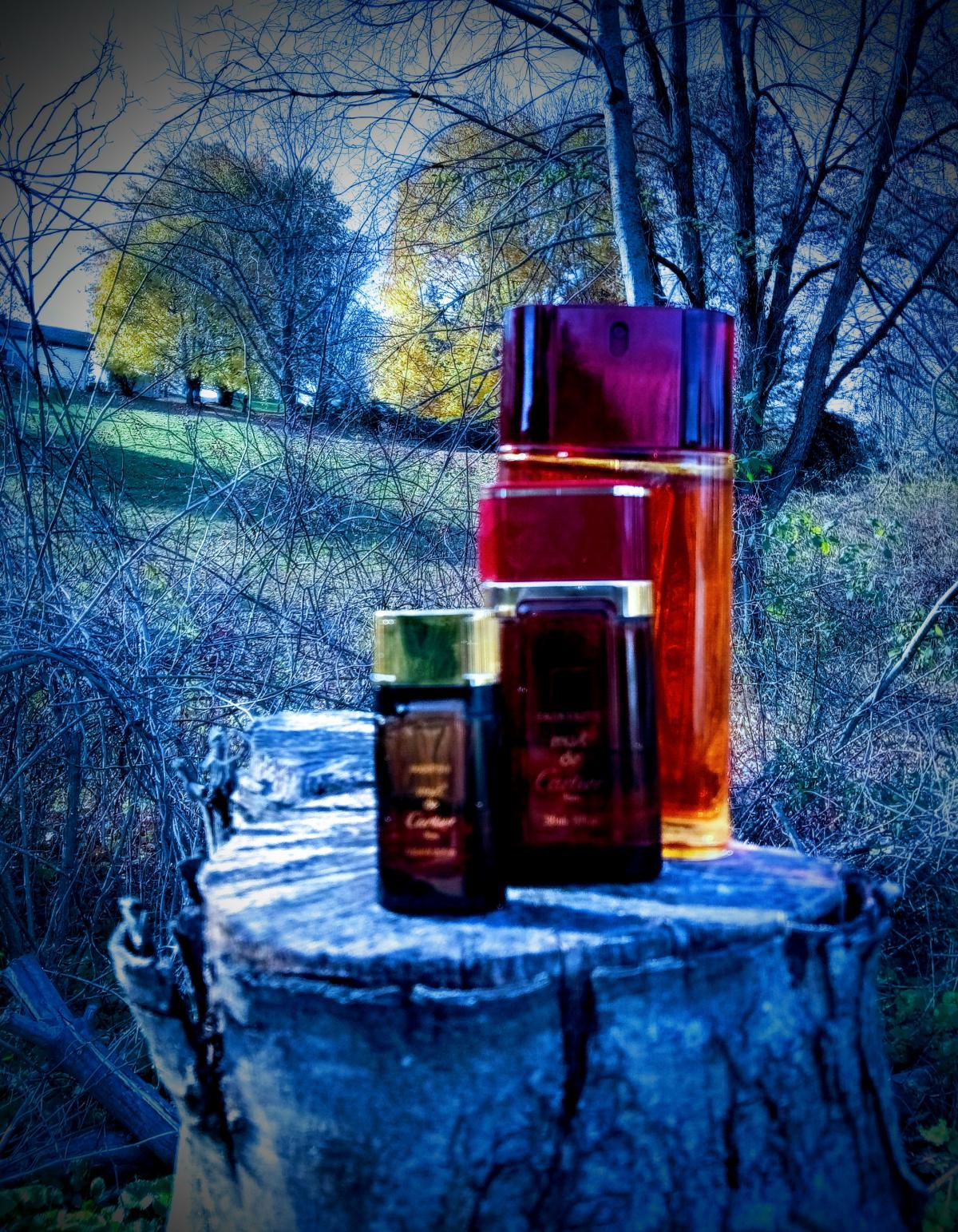 Must de Cartier Cartier perfume - a fragrance for women 1981