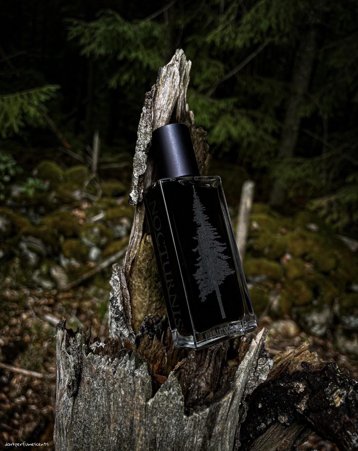 Nocturnis Pineward Perfumes parfum - un parfum pour homme et femme