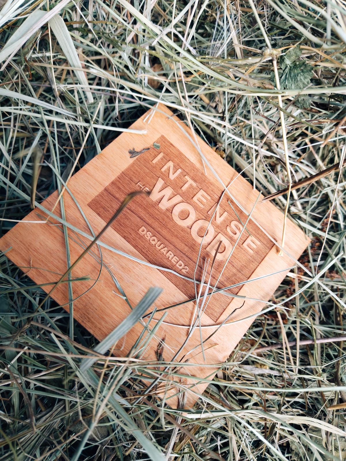 Intense He Wood DSQUARED² cologne - a fragrance for men 2014