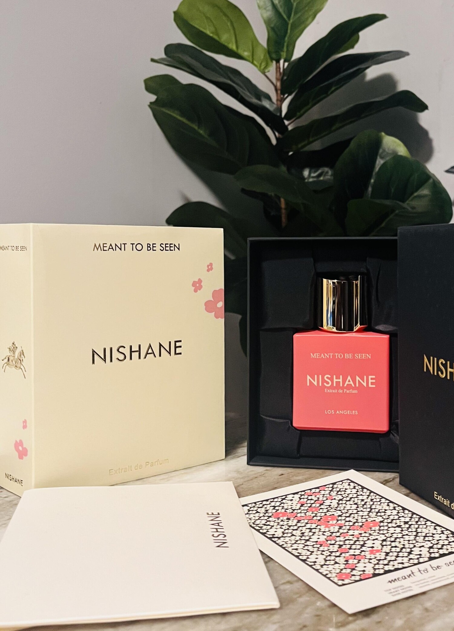 Meant To Be Seen Nishane perfume - a new fragrance for women and men 2025
