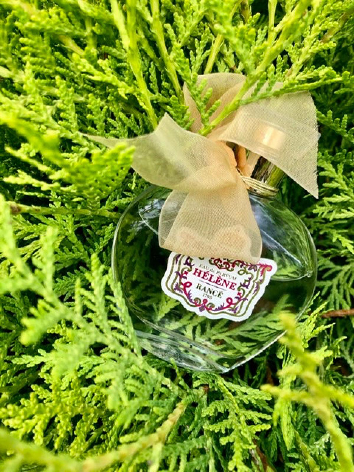 Helene Rance 1795 perfume - a fragrance for women 2010