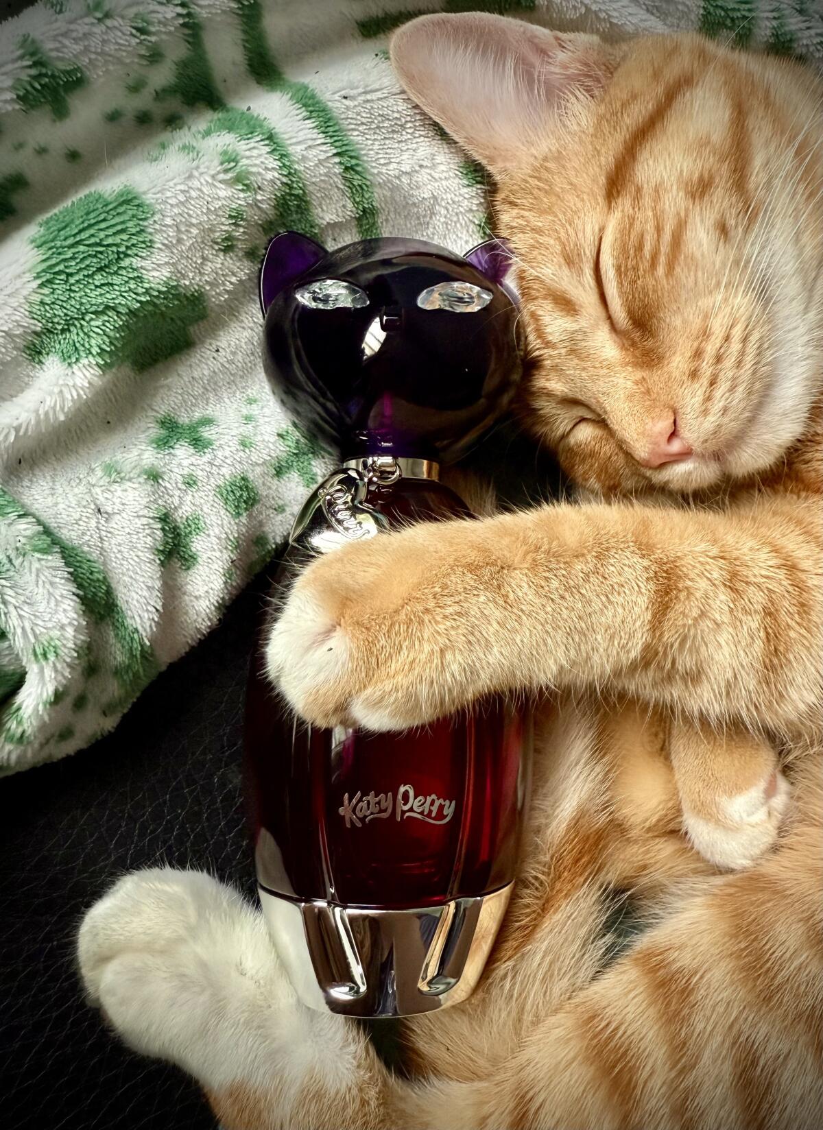 Purr Katy Perry perfume - a fragrance for women 2010