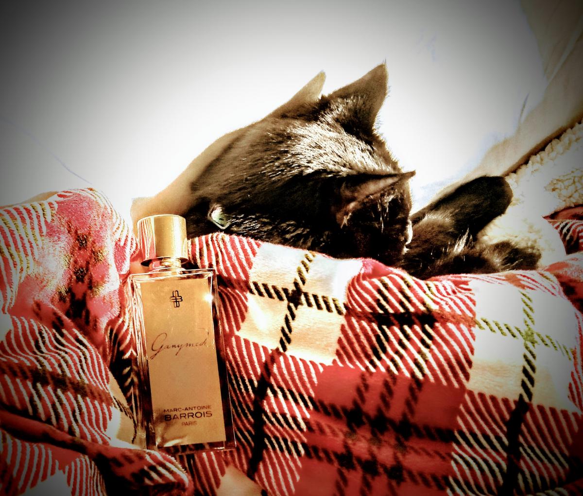 Ganymede Marc-Antoine Barrois perfume - a fragrance for women and men 2019