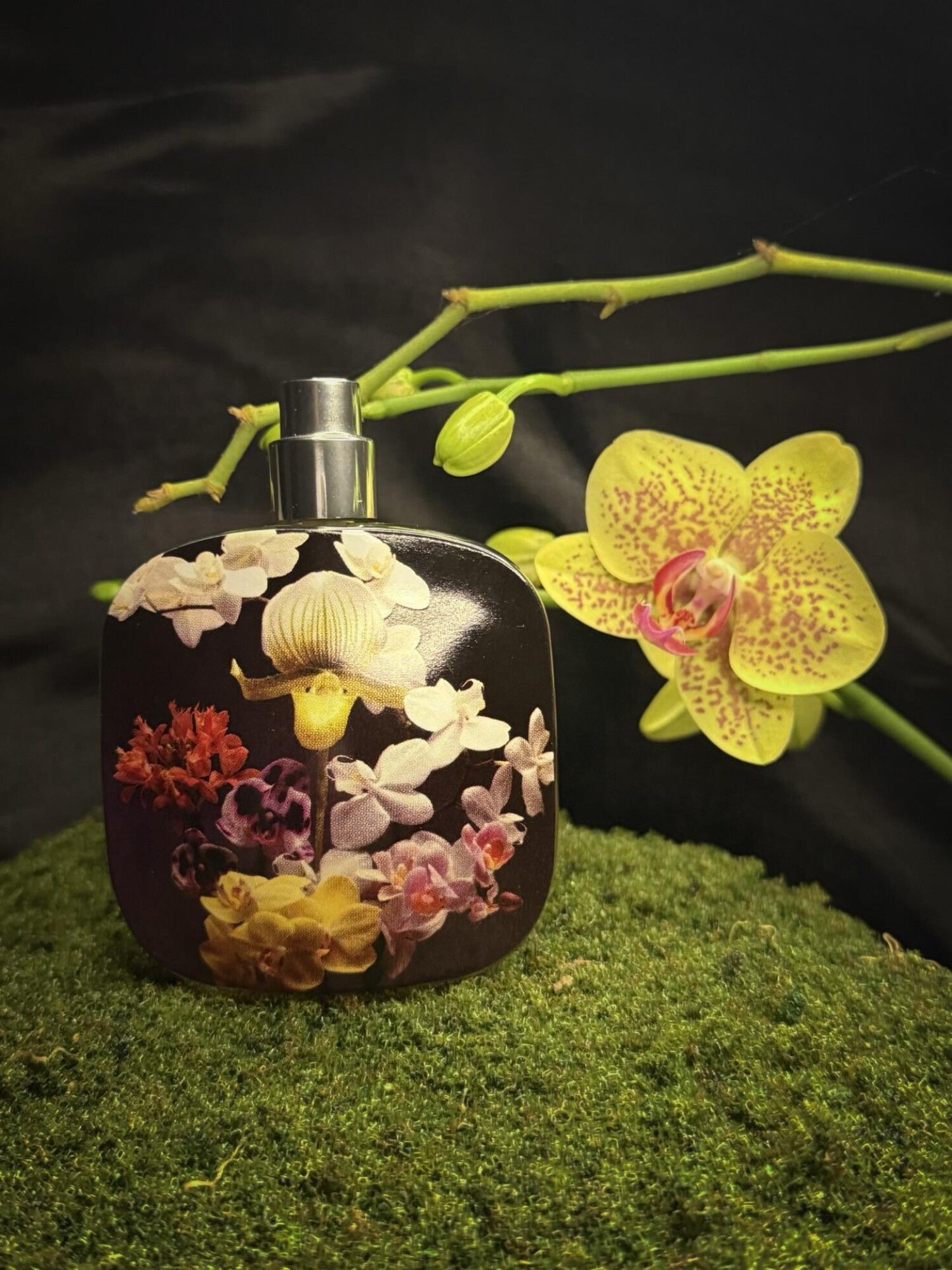 Wild Vanilla Orchid Floral Street perfume - a fragrance for women and ...