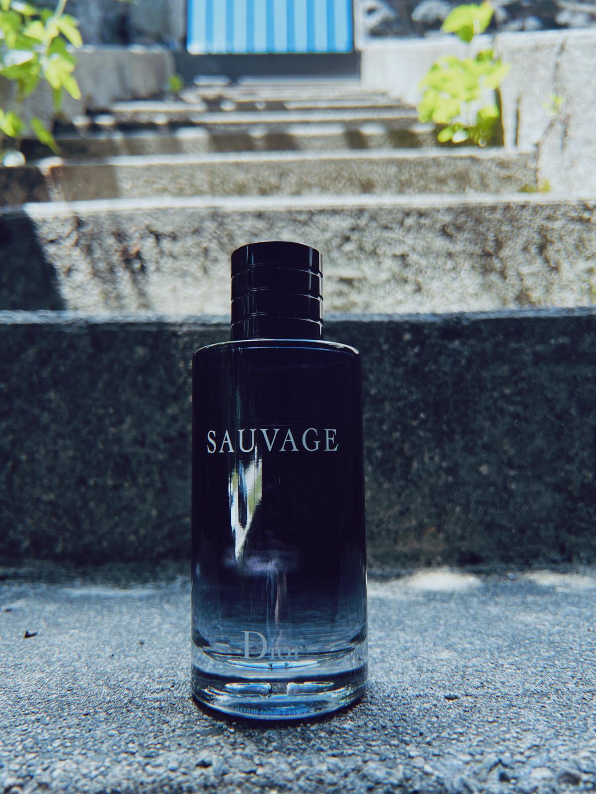 Sauvage Dior cologne - a fragrance for men 2015