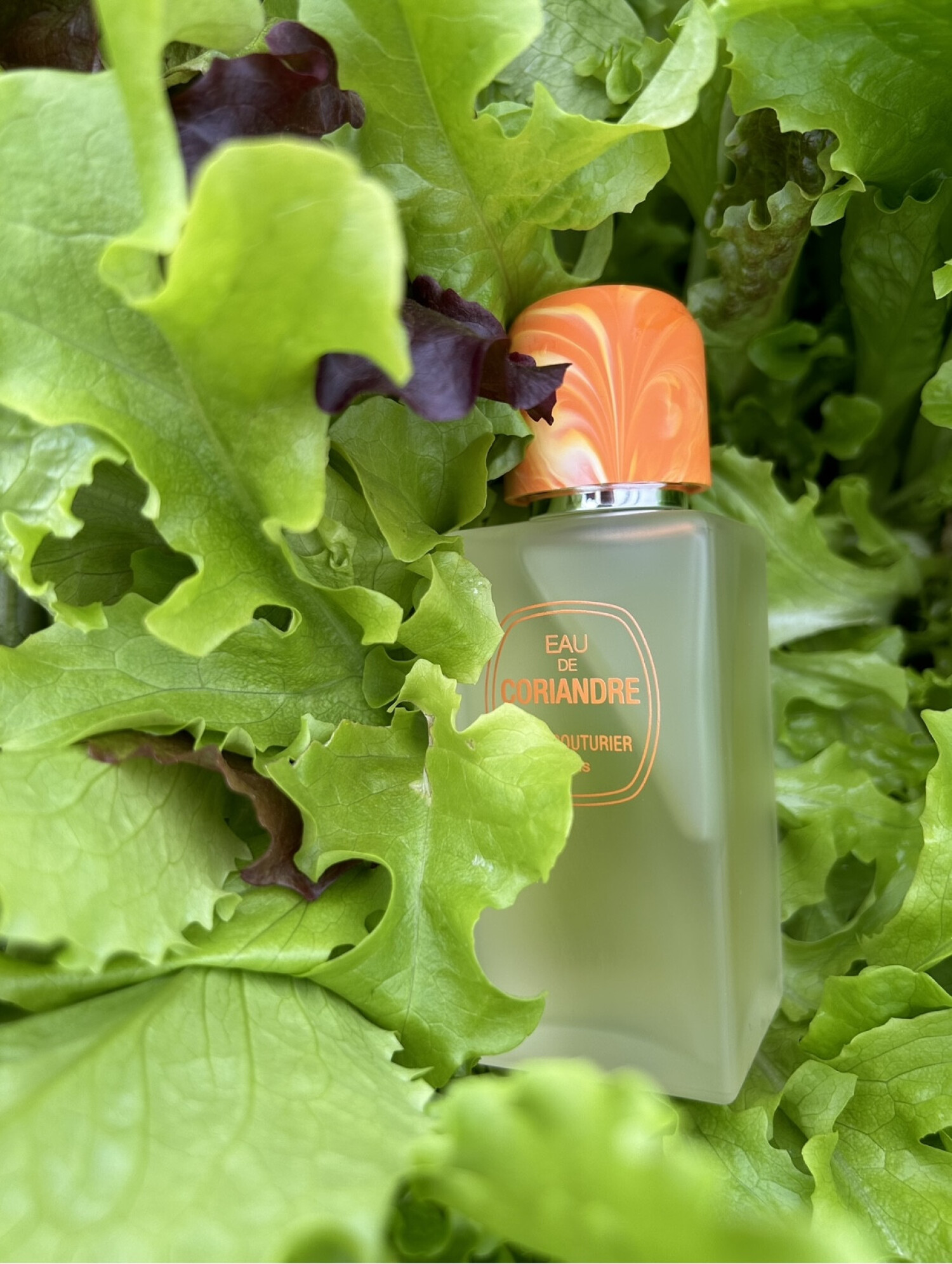 Eau de Coriandre Jean Couturier perfume - a fragrance for women 1996