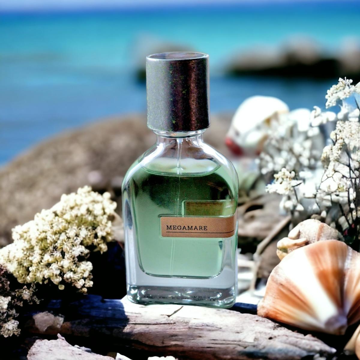 Megamare Orto Parisi perfume - a fragrance for women and men 2019