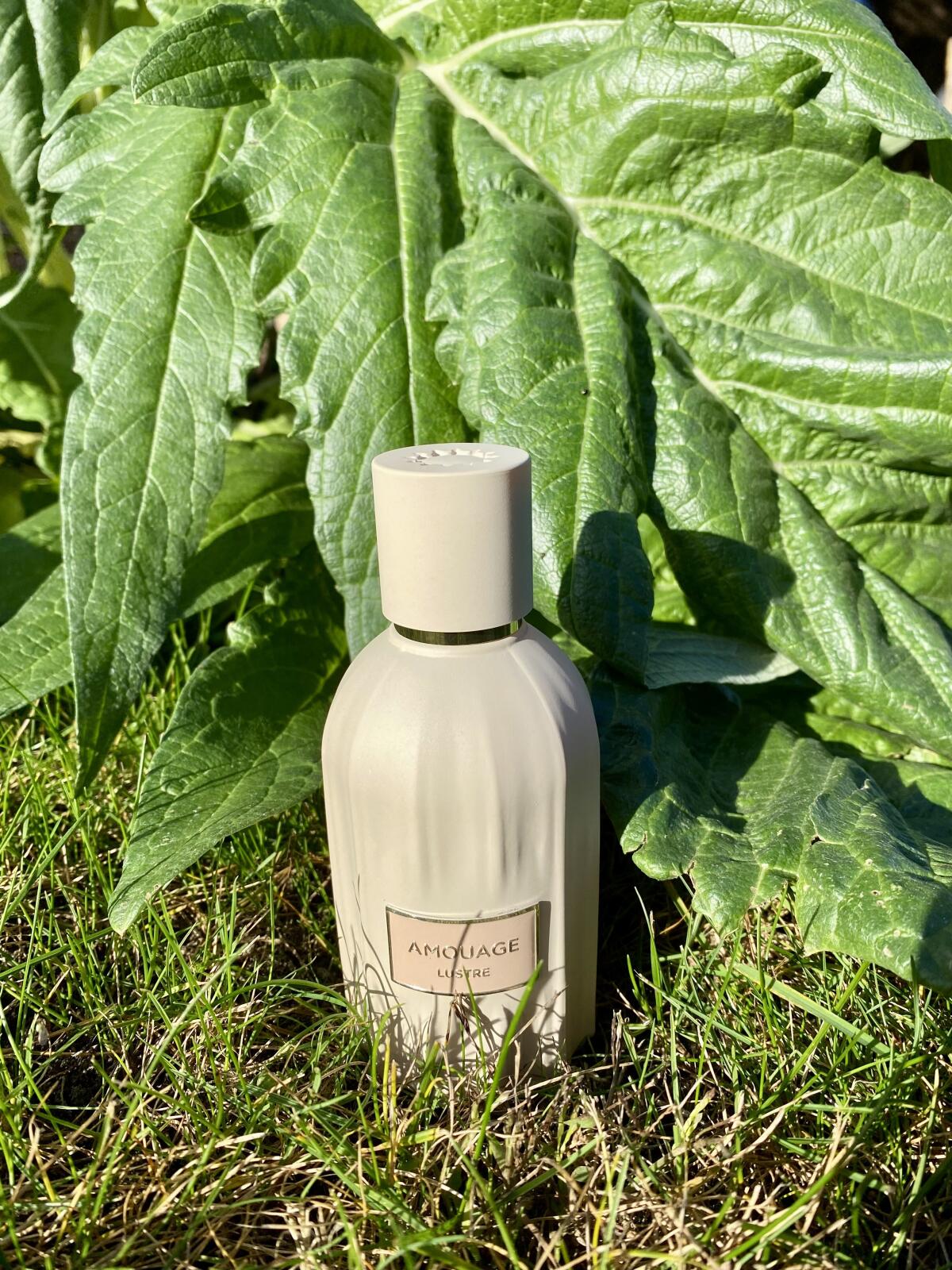 Lustre Amouage parfem - novi parfem za žene i muškarce 2024