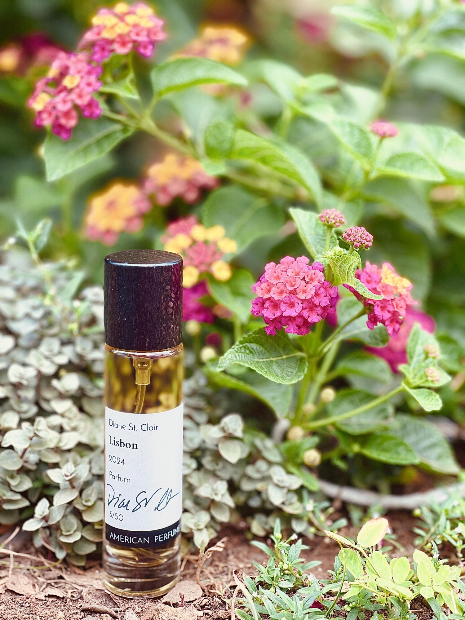 Lisbon American Perfumer perfume - a fragrance for women and men 2024