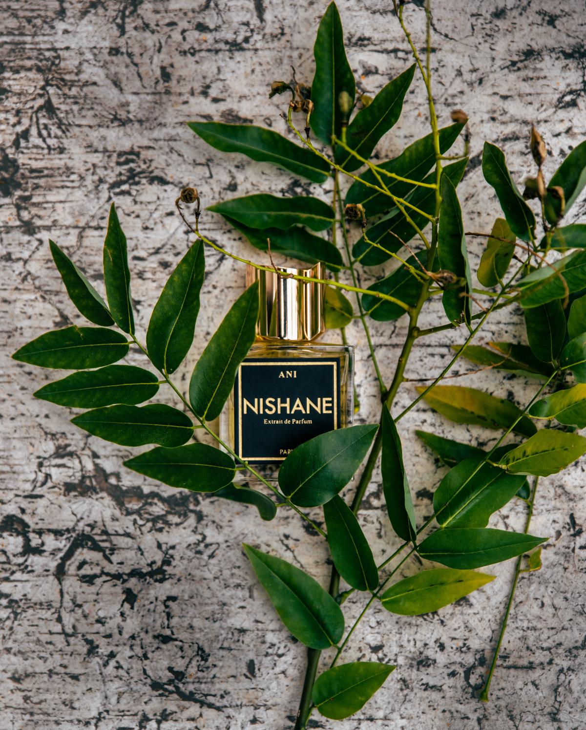 Ani Nishane perfume - a fragrance for women and men 2019