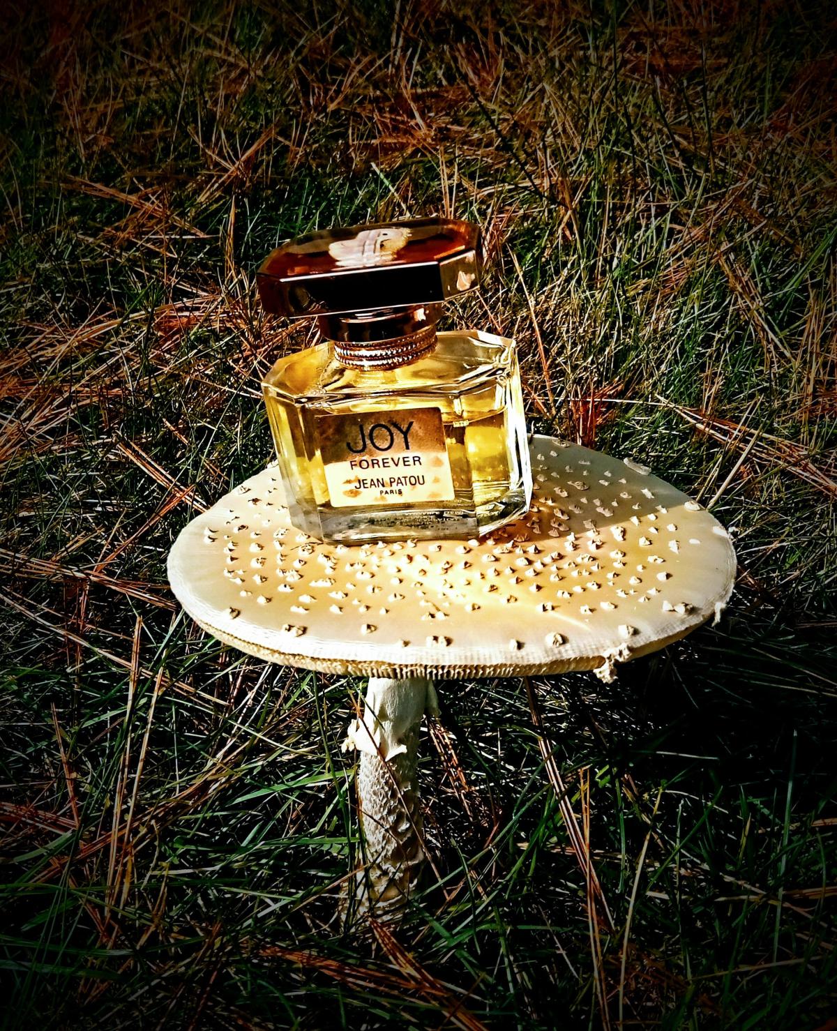 Joy Forever Jean Patou perfume - a fragrance for women 2013