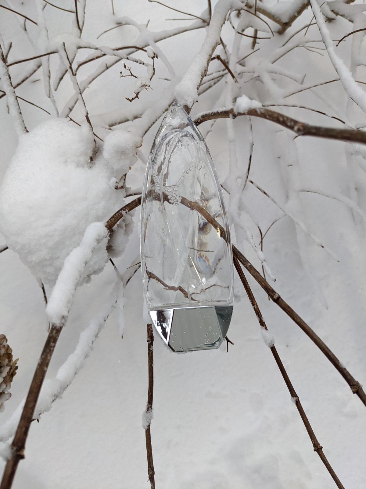 Jewel Alfred Sung perfume - a fragrance for women 2005