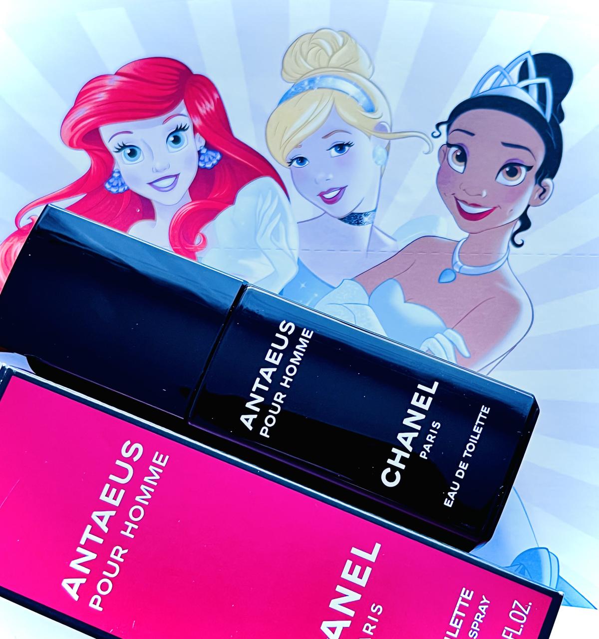 Antaeus Chanel cologne - a fragrance for men 1981