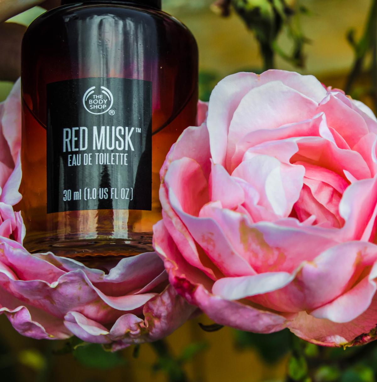 Red Musk The Body Shop perfume - a fragrance for women 2014