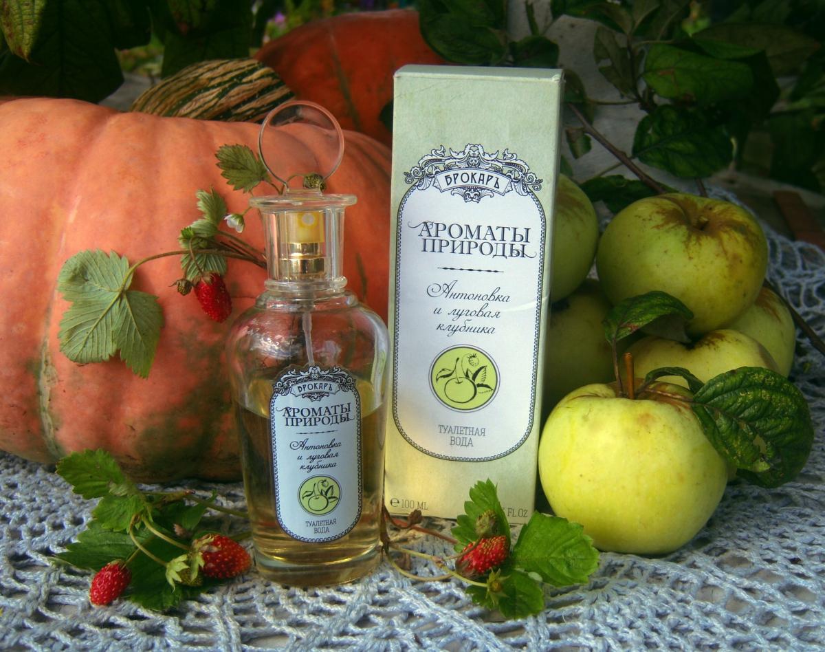 Антоновка и луговая клубника - Antonovka and Wild Strawberry Brocard ...