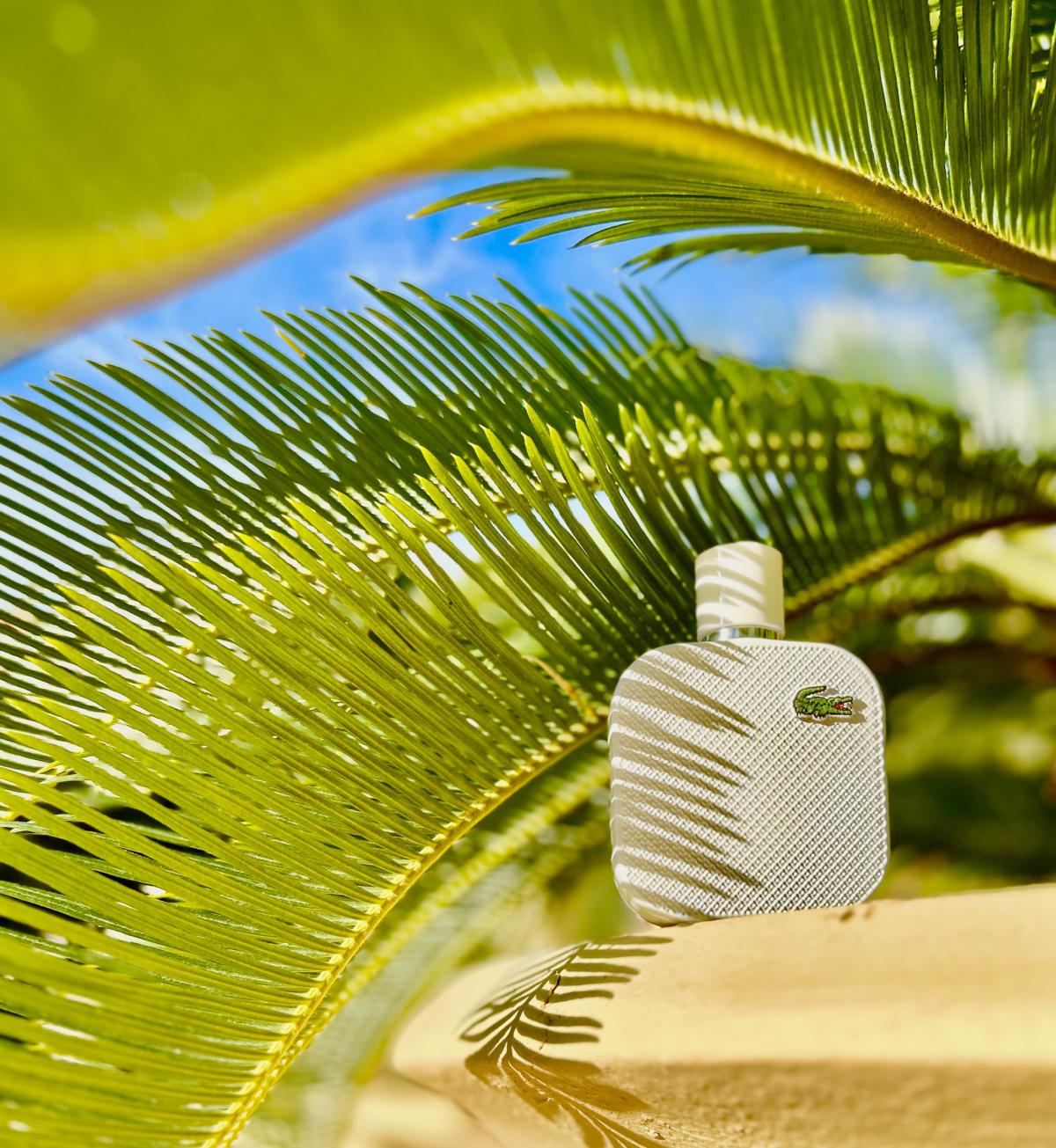 Eau de Lacoste L.12.12. White Lacoste Fragrances cologne - a fragrance ...