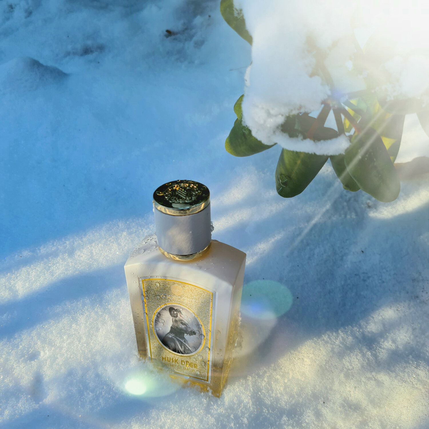 Musk Deer Zoologist Perfumes perfume - a fragrance for women and men 2020