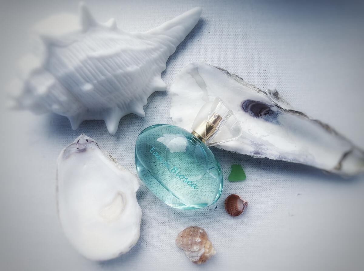 Eau de Biosea Biosea perfume - a fragrance for women