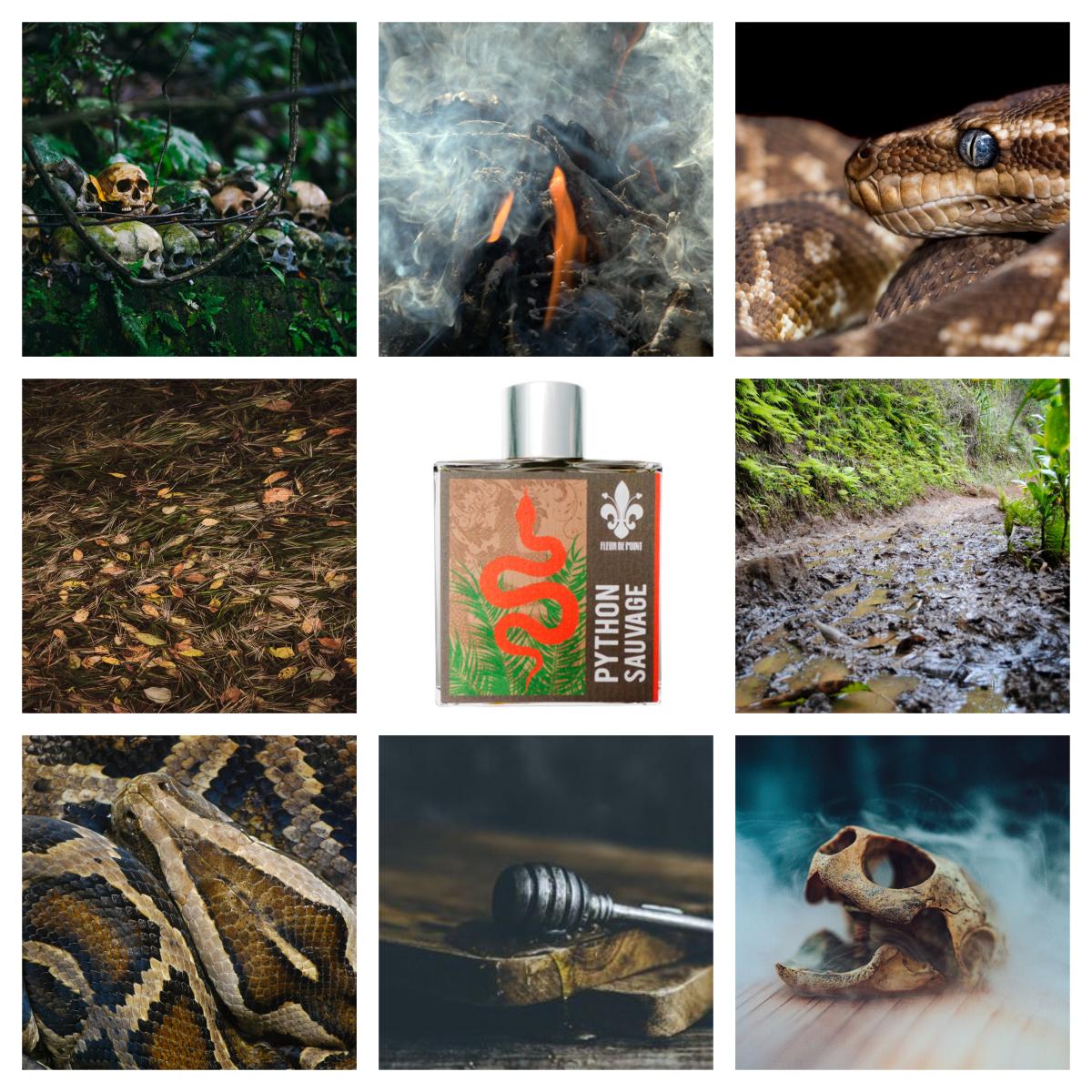 Python Sauvage Fleur De Point perfume - a fragrance for women and men 2018