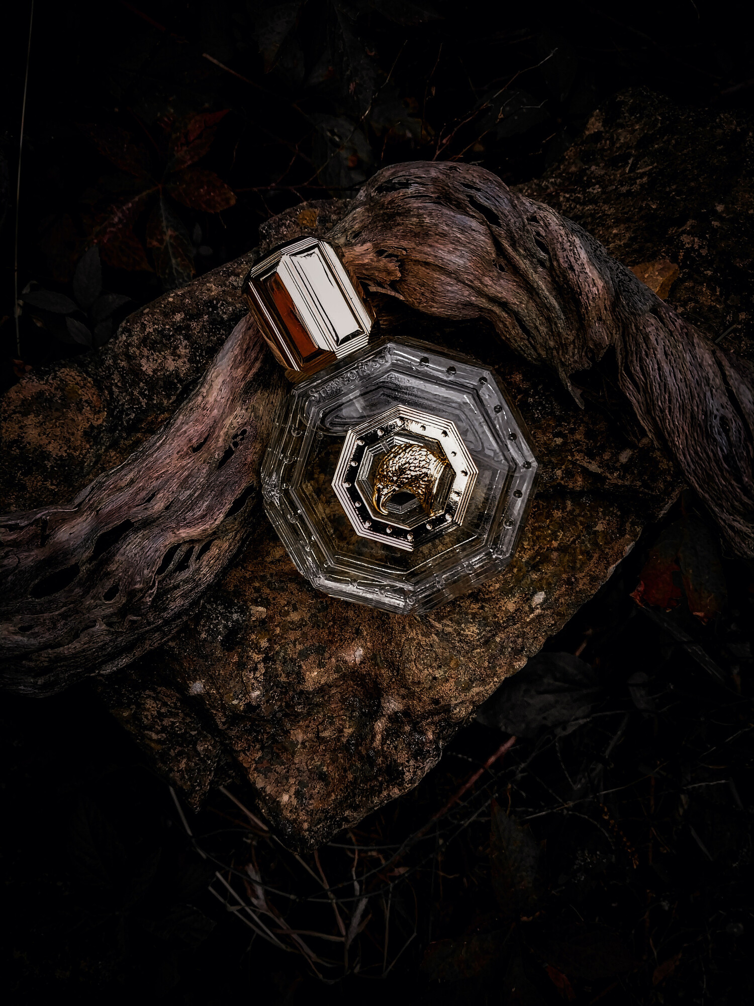 Royal Eagle Gold Stefano Ricci cologne - a fragrance for men