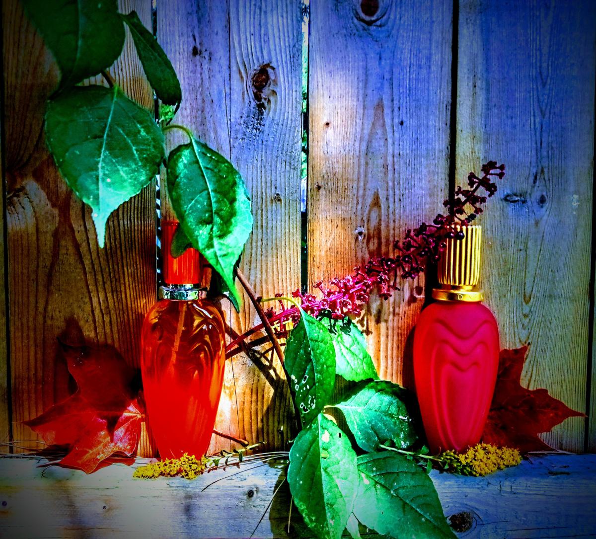 Sunset Heat Escada perfume - a fragrance for women 2007