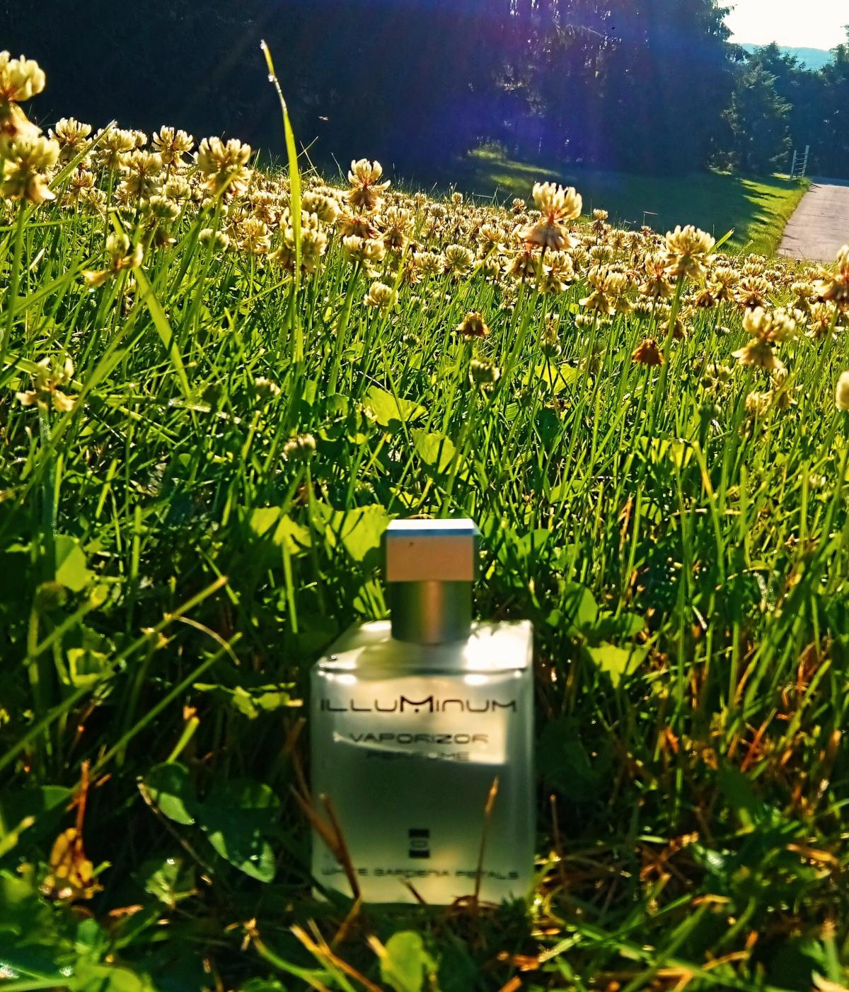 White Gardenia Petals Illuminum perfume - a fragrance for women and men ...