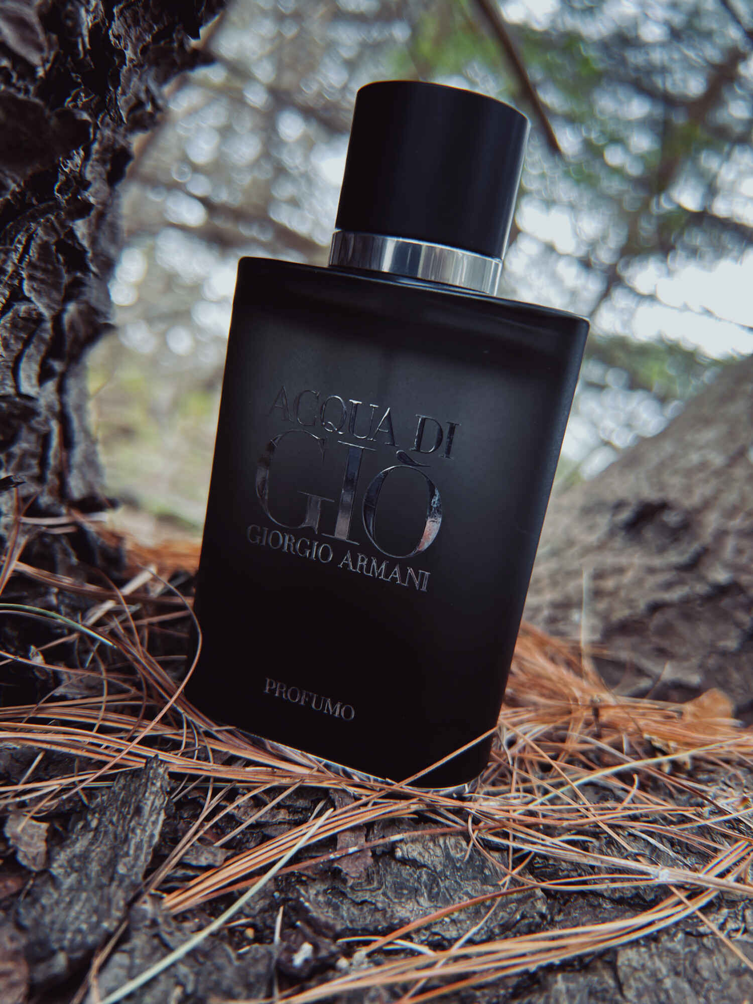 Acqua di Giò Profumo Giorgio Armani cologne - a fragrance for men 2015