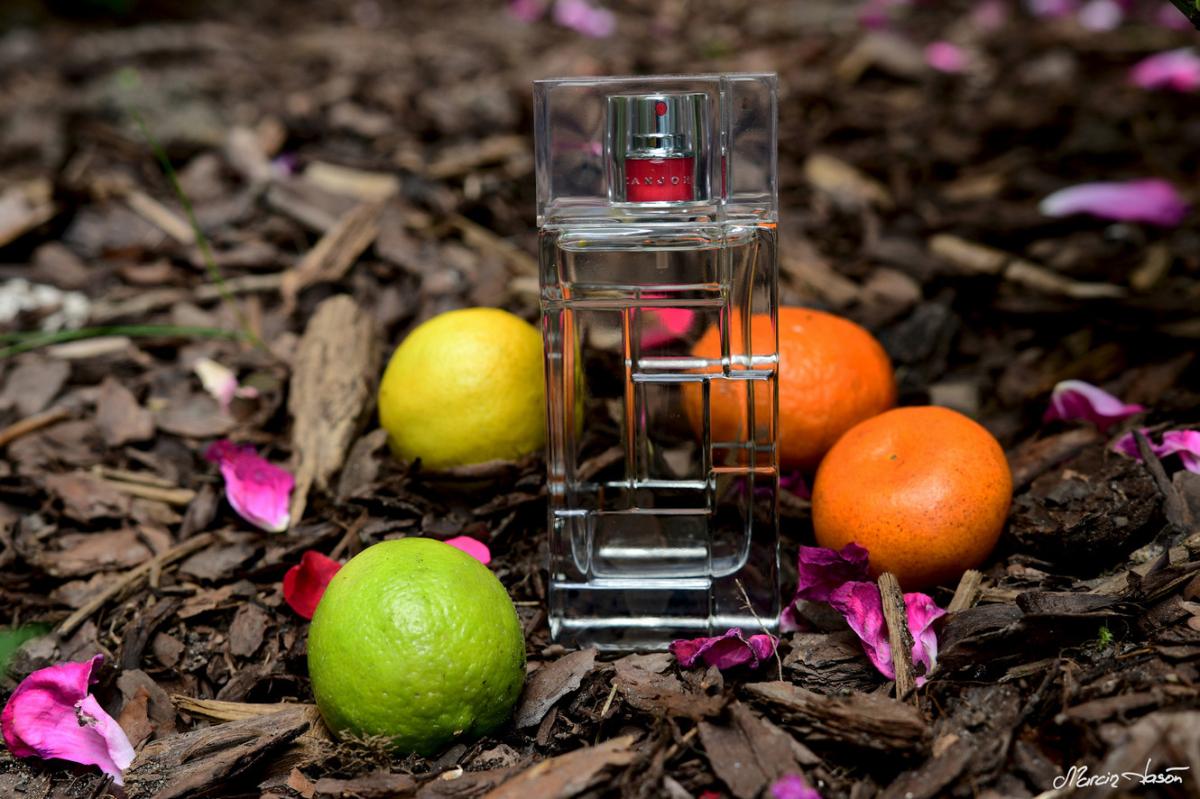 3 AM Sean John cologne - a fragrance for men 2015