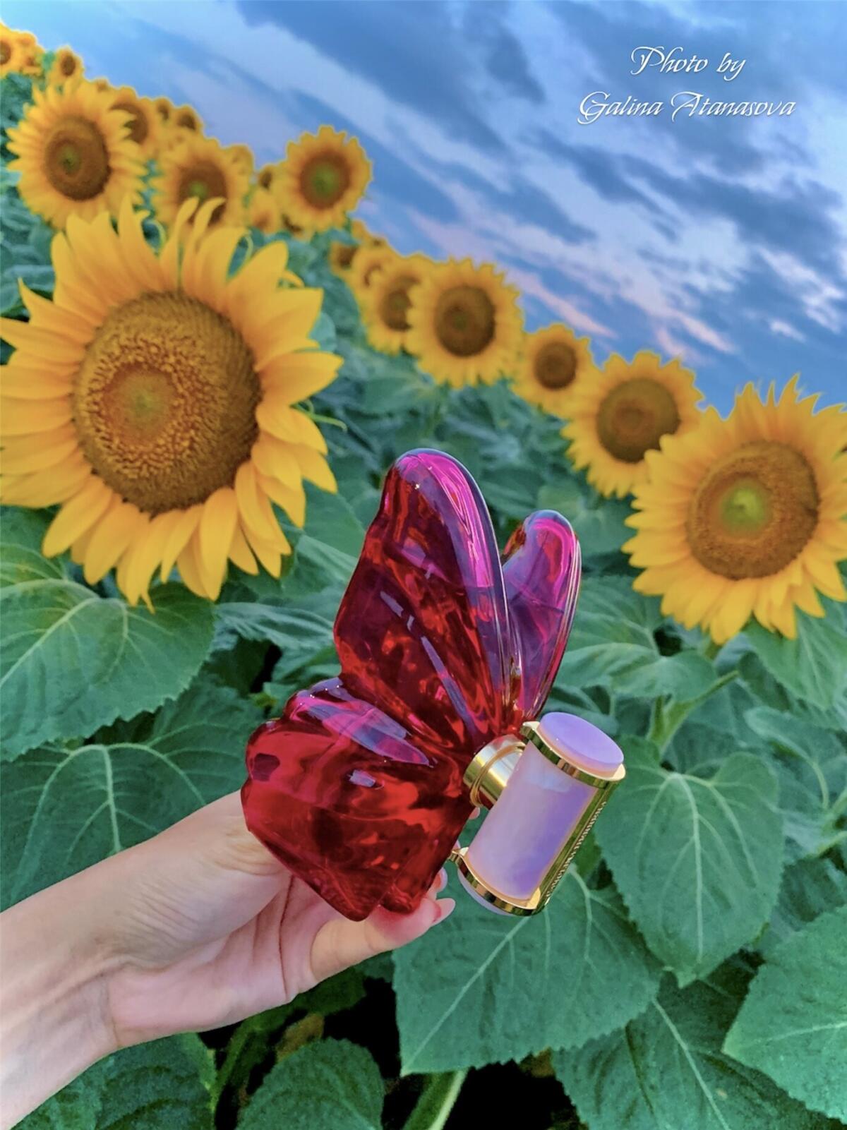 La Bomba Carolina Herrera perfume - a novo fragrância Feminino 2025